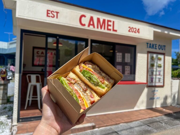 CAMEL SANDWICH&SMOOTHIEは新オープンのサンドウィッチ専門店！美ら海近く！本部町 - おきなわめぐり